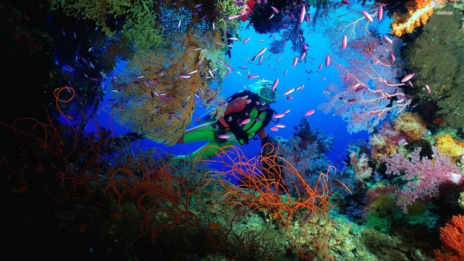 Greece Scuttles Navy Vessels for New Cretan Scuba Diving Park ...