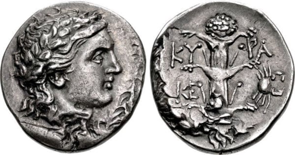 The Lost Plant Ancient Greeks Used for Medicine, Food and Contraception ...