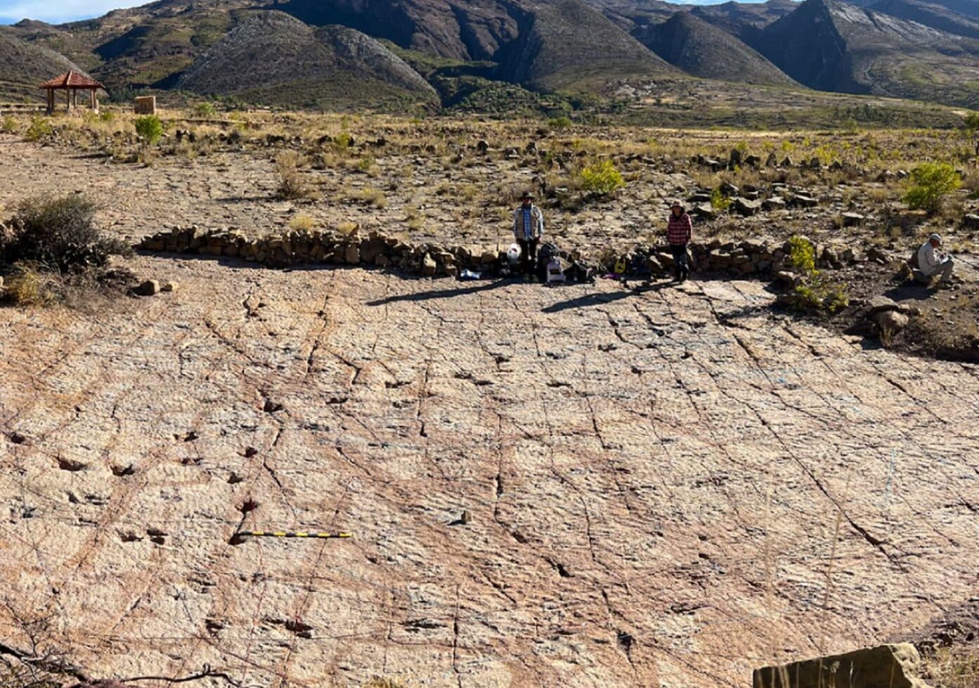 Over 20,000 Ancient Dinosaur Footprints Found Near Winter Olympics Site ...