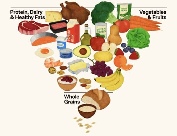 US Releases New Food Pyramid Overhauling Dietary Guidelines ...