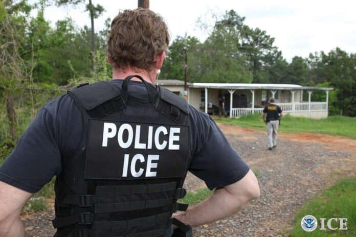 Amanda Ungaro: From Trump’s Mar-a-Lago Galas to U.S. Deportation ...