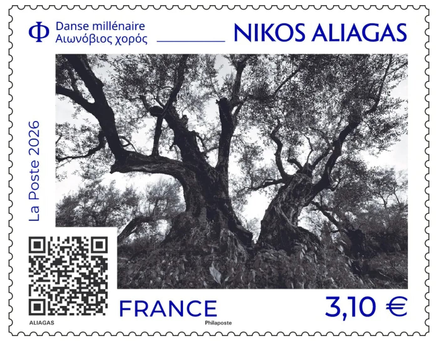 Centuries-Old Greek Olive Trees From Missolonghi to Appear on France’s ...