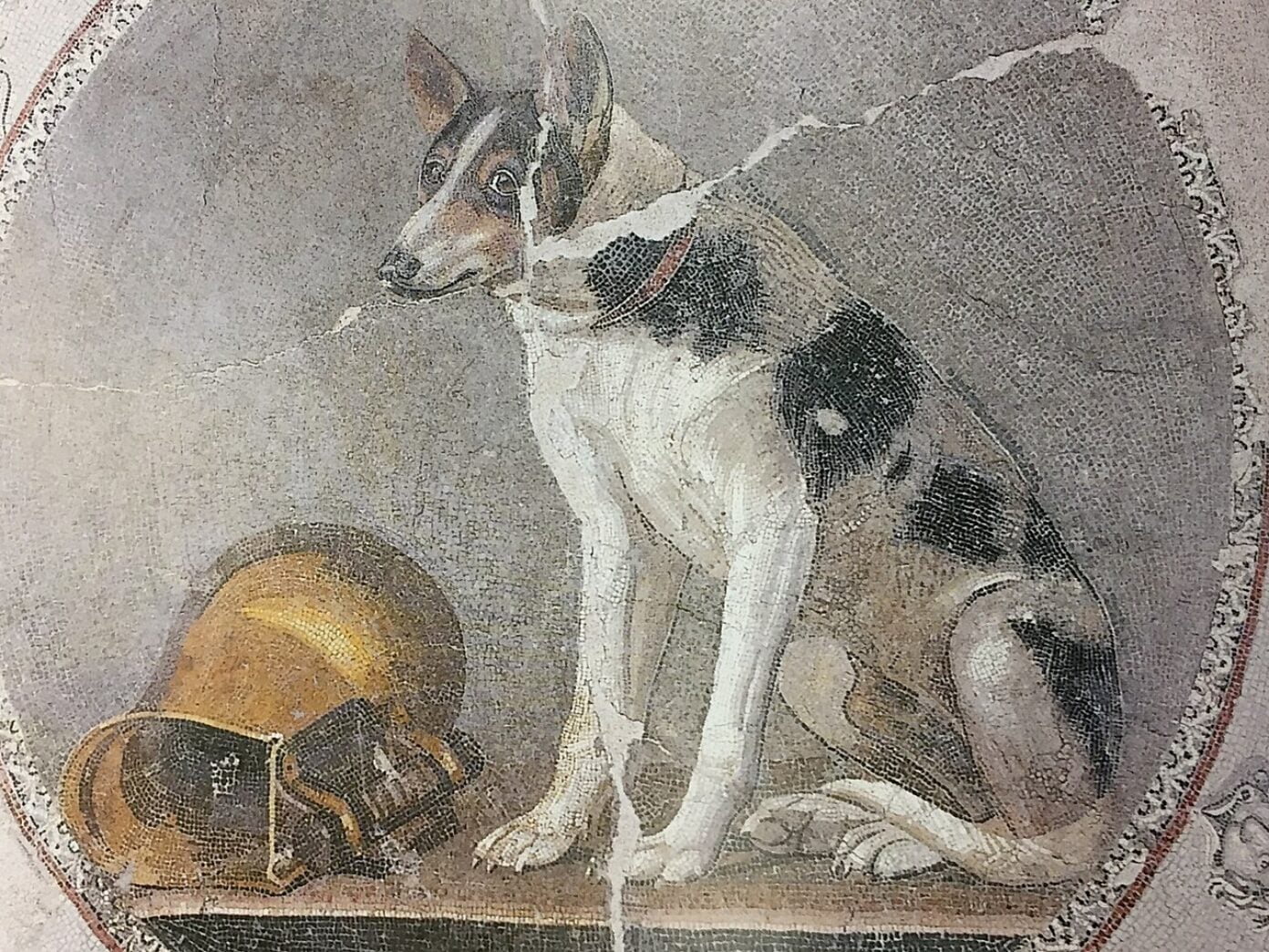 The Ancient Greek Belief That Animals Possessed Intelligence and Reason ...